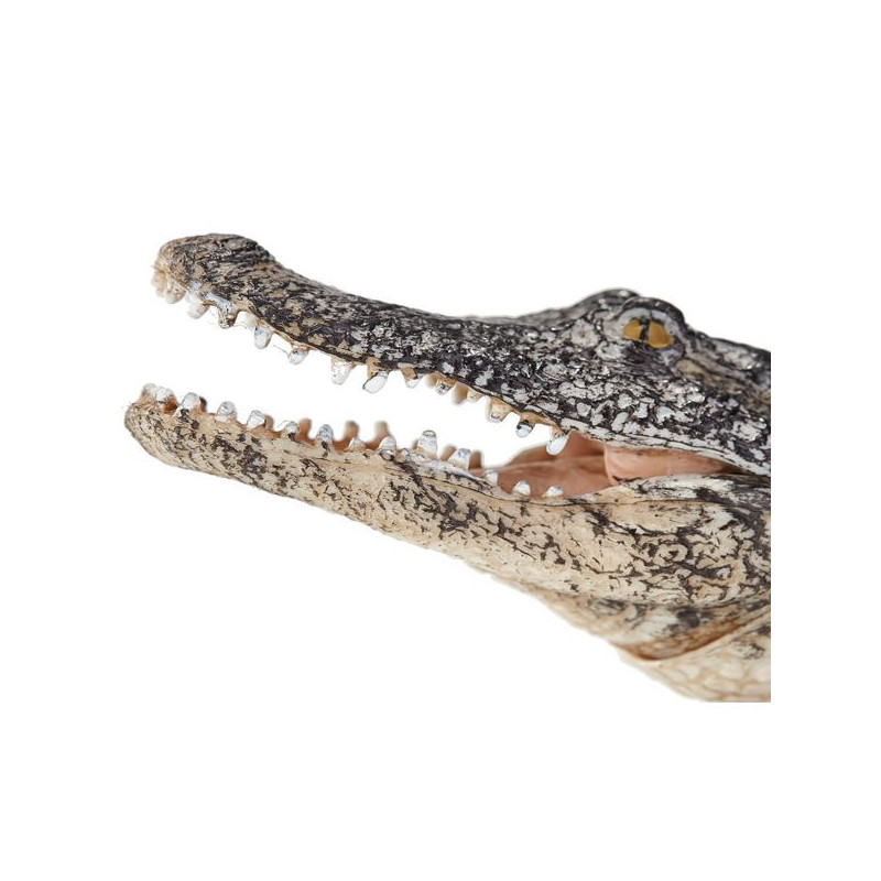 Figura de Caimán Articulado 20cm: Réplica realista y detallada del rey ...