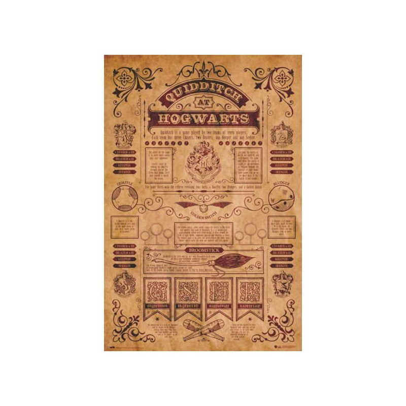 Poster harry potter quidditch at hogwarts - hipergol.com
