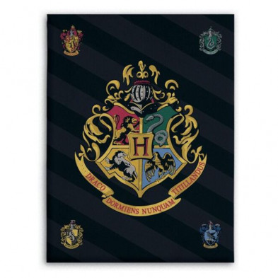 Manta Harry Potter Hogwarts Banderas | 140 x 100 cm | Lana - hipergol.com