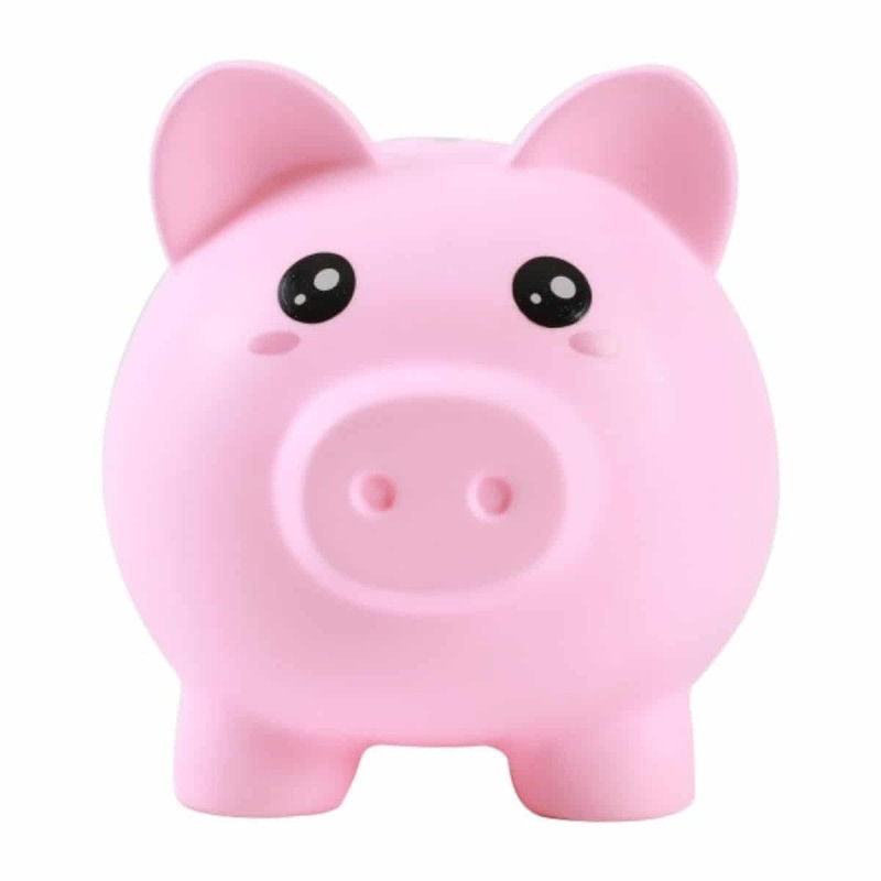 Hucha cerdo - hipergol.com